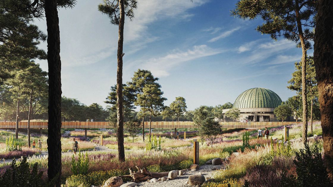 „Olyan park, amelynek fő attrakciója a természet” – a Népliget ...
